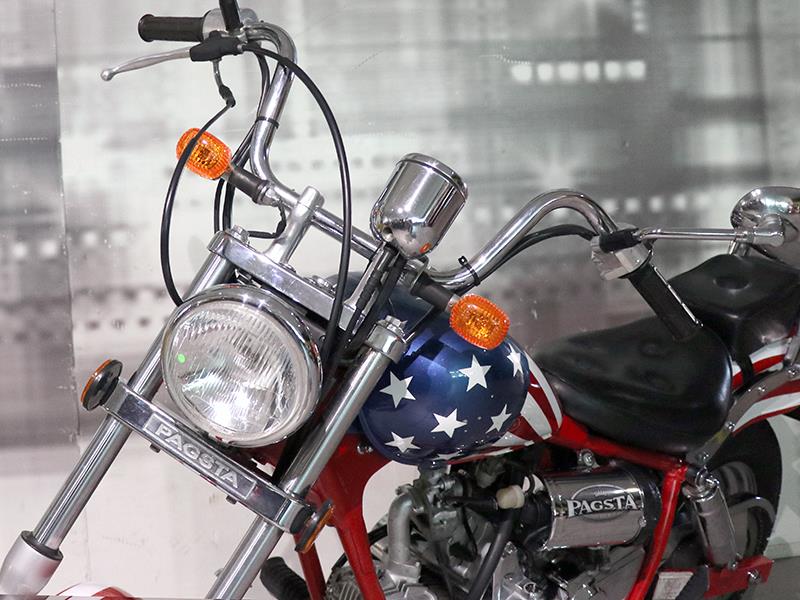 Pagsta Regal Raptor 50 colore america usato in vendita