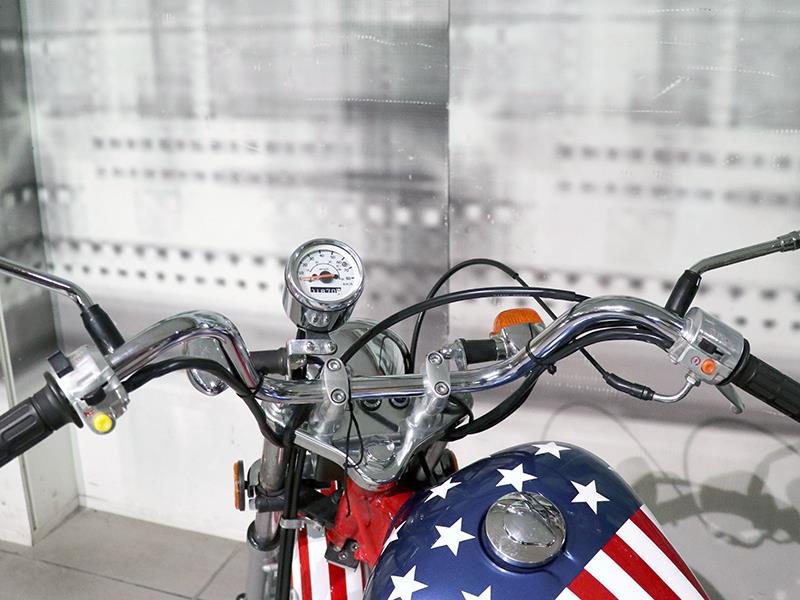 Pagsta Regal Raptor 50 colore america usato in vendita