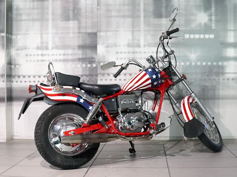 Pagsta Regal Raptor 50 colore america usato in vendita