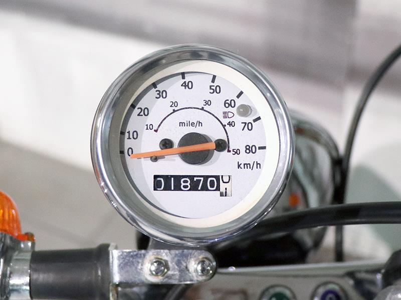 Pagsta Regal Raptor 50 colore america usato in vendita